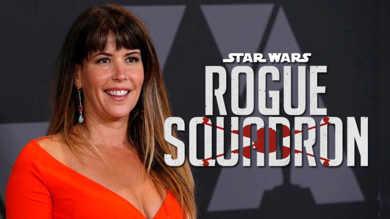 Patty Jenkins Clarifies the Status of 'Rogue Squadron' - Murphy's ...